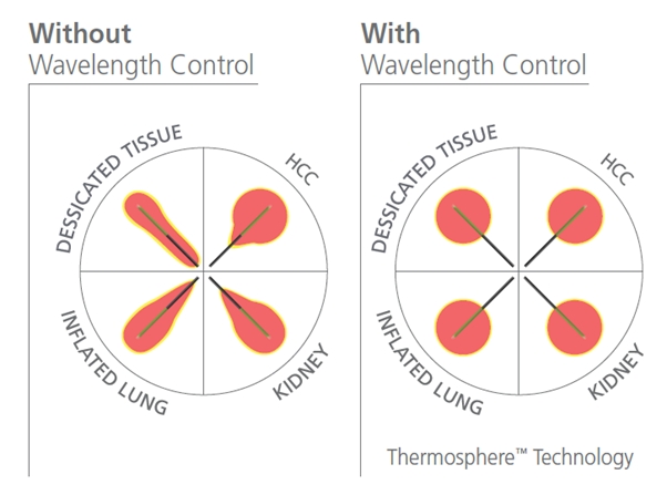Reviews of the Medtronic Emprint HP Ablation System