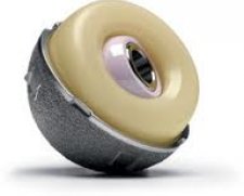 Biomet | Active Articulation Dual Mobility Hip System