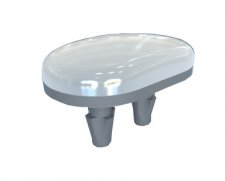 BioPoly LLC | BioPoly RS Knee System