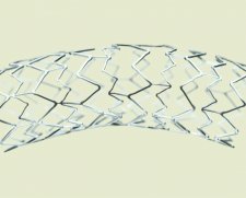 Boston Scientific | Express Vascular SD Stent System