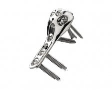 Wright Medical Technology Inc. | EVOLVE radial head plate